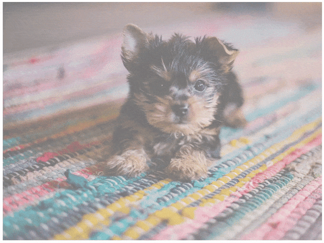 How to Add a CSS Fade-in Transition Animation to Text, Images, Scroll & Hover